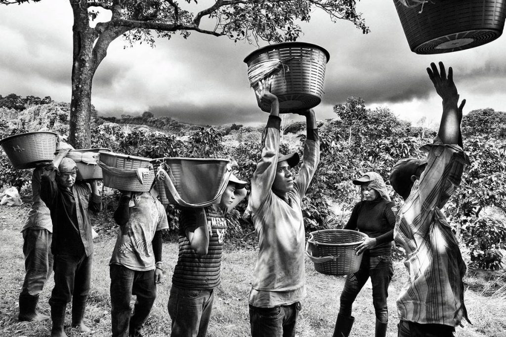 Dünyayı Dinleyen Adam: Sebastião Salgado ve Sessiz Müziği | Dark Blue Notes