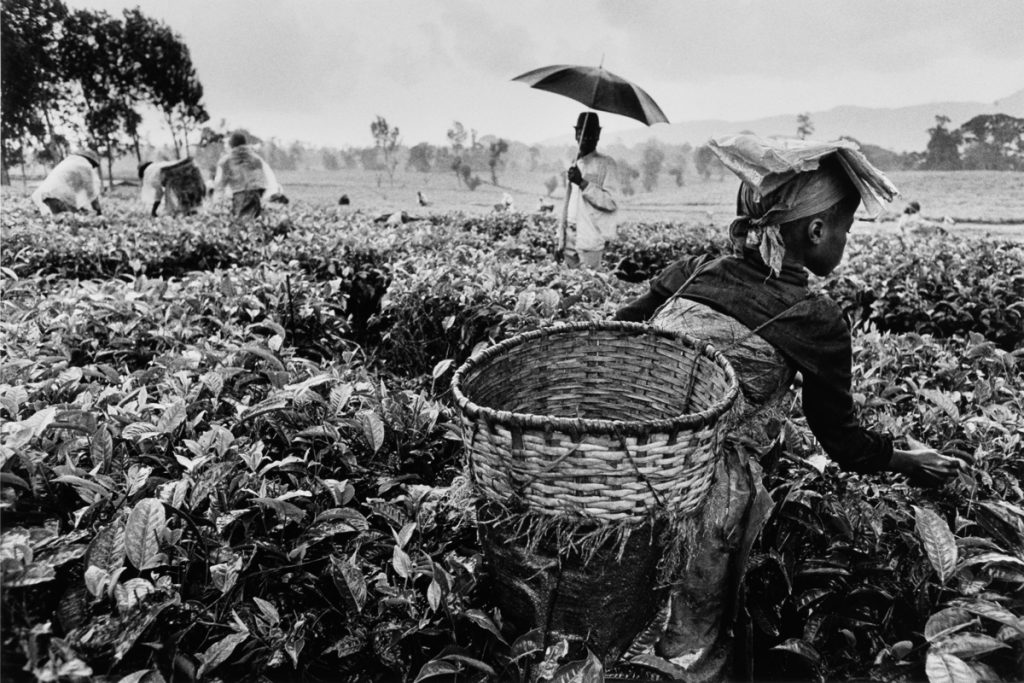 Dünyayı Dinleyen Adam: Sebastião Salgado ve Sessiz Müziği | Dark Blue Notes